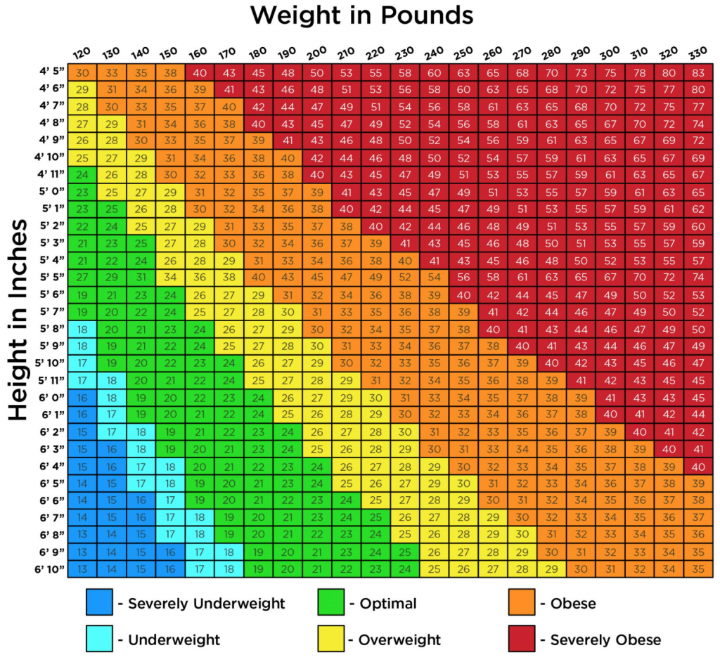 BMI Calculator Diet Portal BMI Calculator Diet Portal